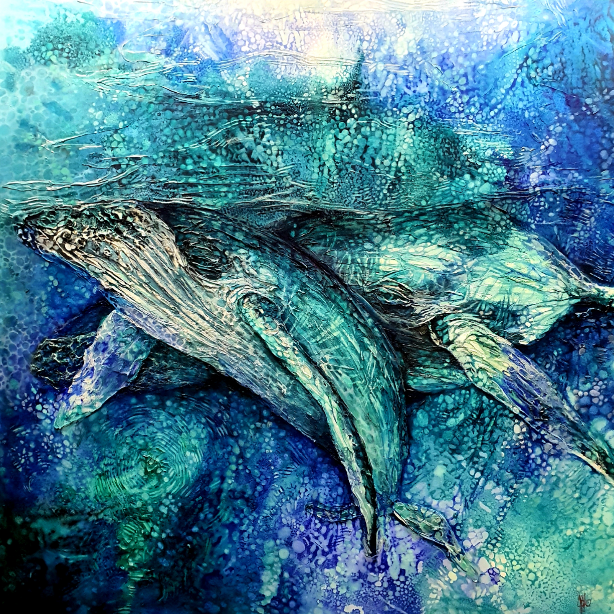 Jennifer Luck, Pacific Wonder, Oil on Canvas – Fern Street Gallery